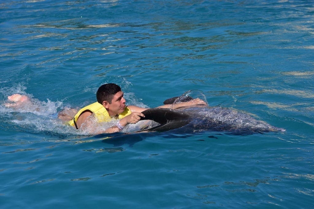 Cozumel Dolphin Swim and Ride Program | Jeep Riders Cozumel